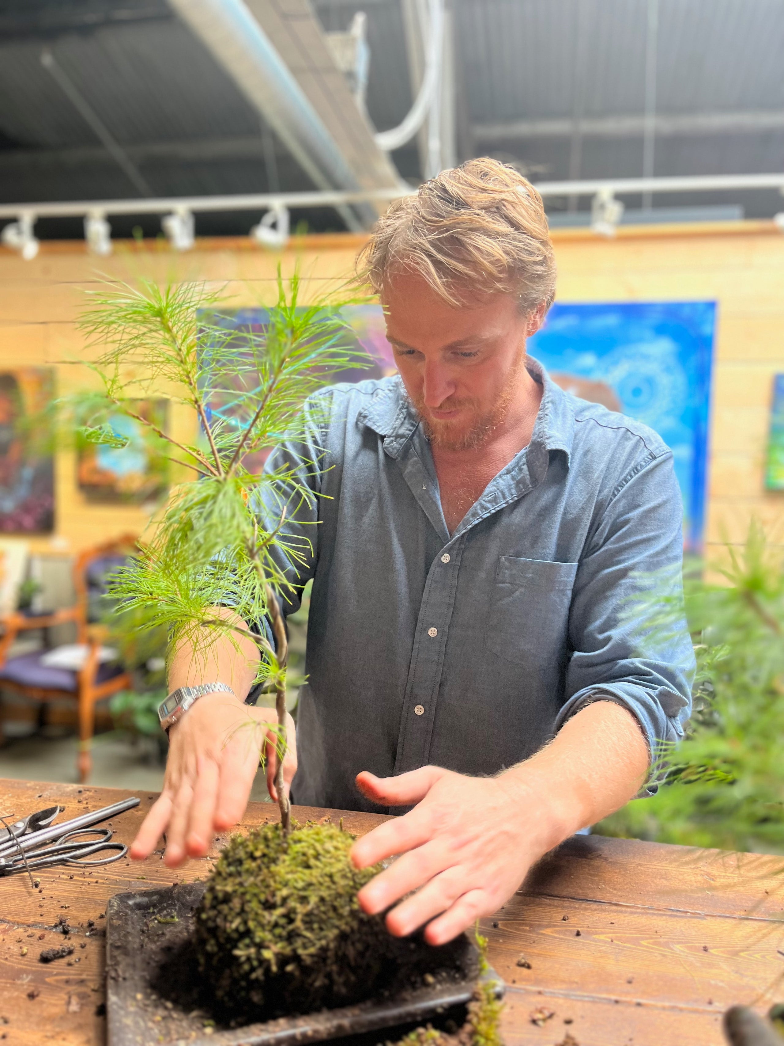 Keshiki Bonsai Workshop with Daniel Coffey of Maitrí Studio | Art ...